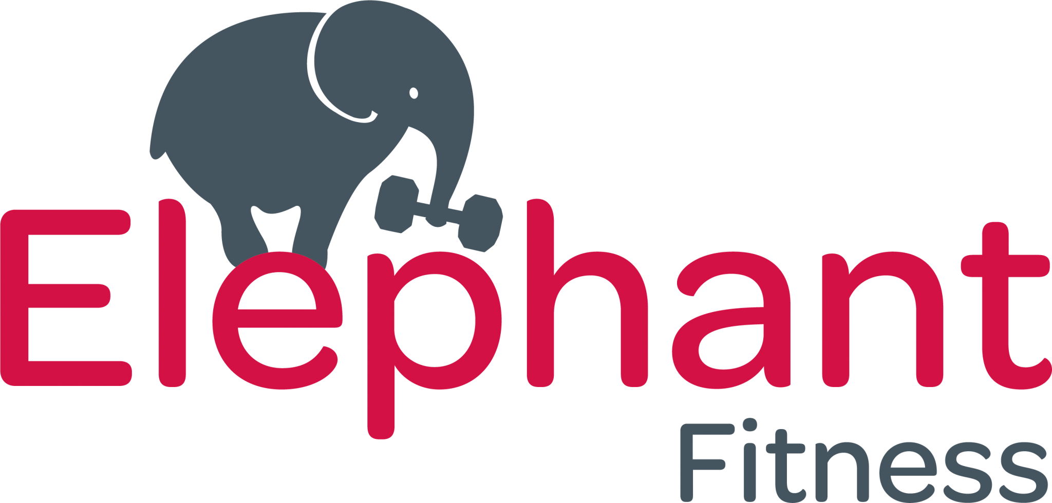 Elephant Fitness | Ireland's Premiere Gym Equipment Provider